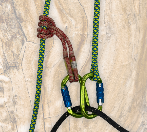 Nœud Prusik : bien choisir sa cordelette pour l’élagage - L'Equipeur